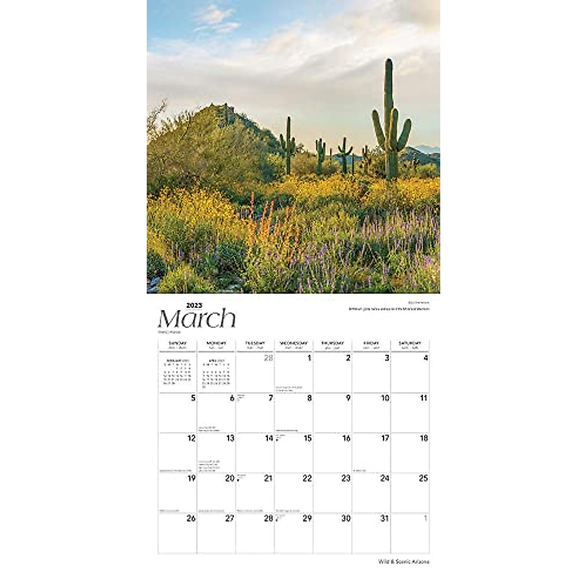 Arizona Wild & Scenic | 2023 12 x 24 Inch Monthly Square Wall Calendar | BrownTrout | USA United States of America Southwest State Nature