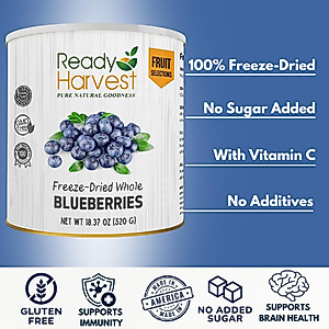 Ready Harvest Freeze-dried Blueberries | Blueberries Freeze-dried Fruit Snacks | Healthy Snacks Trail Mix | Camping food, School Snacks or Emergency Food Supply 30 Years | #10 Can