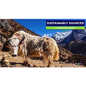 a petter way Himalayan Yak Chews, Natural Dog Treats, Limited Ingredients, 68 Grams of Protein, raw-Hide Alternative, Large Dog Chews for Aggressive chewers (Cheese)