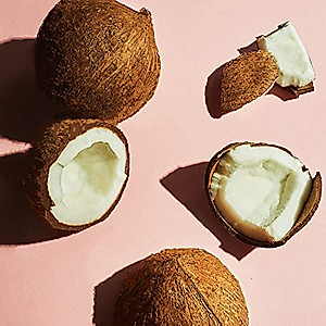 Softsoap Body Wash, Coconut Butter Scrub Body Wash, Exfoliating Body Wash, 20 Ounce (Pack of 2)