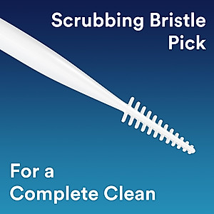 DenTek Complete Clean Easy Reach Floss Picks, No Break & No Shred Floss, 75 Count