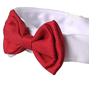 Bolbove Adjustable Formal Pet Bowtie Collar Neck Tie for Dogs & Cats (Small, Red)