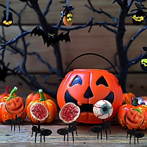 Molain Ant Toothpicks Fruit Dessert Fork, Cute Reusable Ant Food Picks Themed Birthday Party Decorations Supplies Bistro Cocktail Forks for Snack Cake Dessert (24)