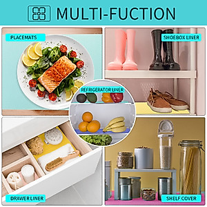 60 Pcs Refrigerator Liners Washable Refrigerator Shelf Liners Waterproof Refrigerator Mats Home Kitchen Gadgets Covers Pads for Drawer Cabinet Freezer Glass Shelf Wire Shelving Cupboard