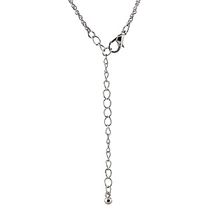 American Coin Treasures Buffalo Nickel Coin Pendant Necklace with Green Enamel | Silvertone 24" Rope Chain for Men & Women | Lobster Claw Clasp | Jewelry for Collectors | Elegant Gift Box