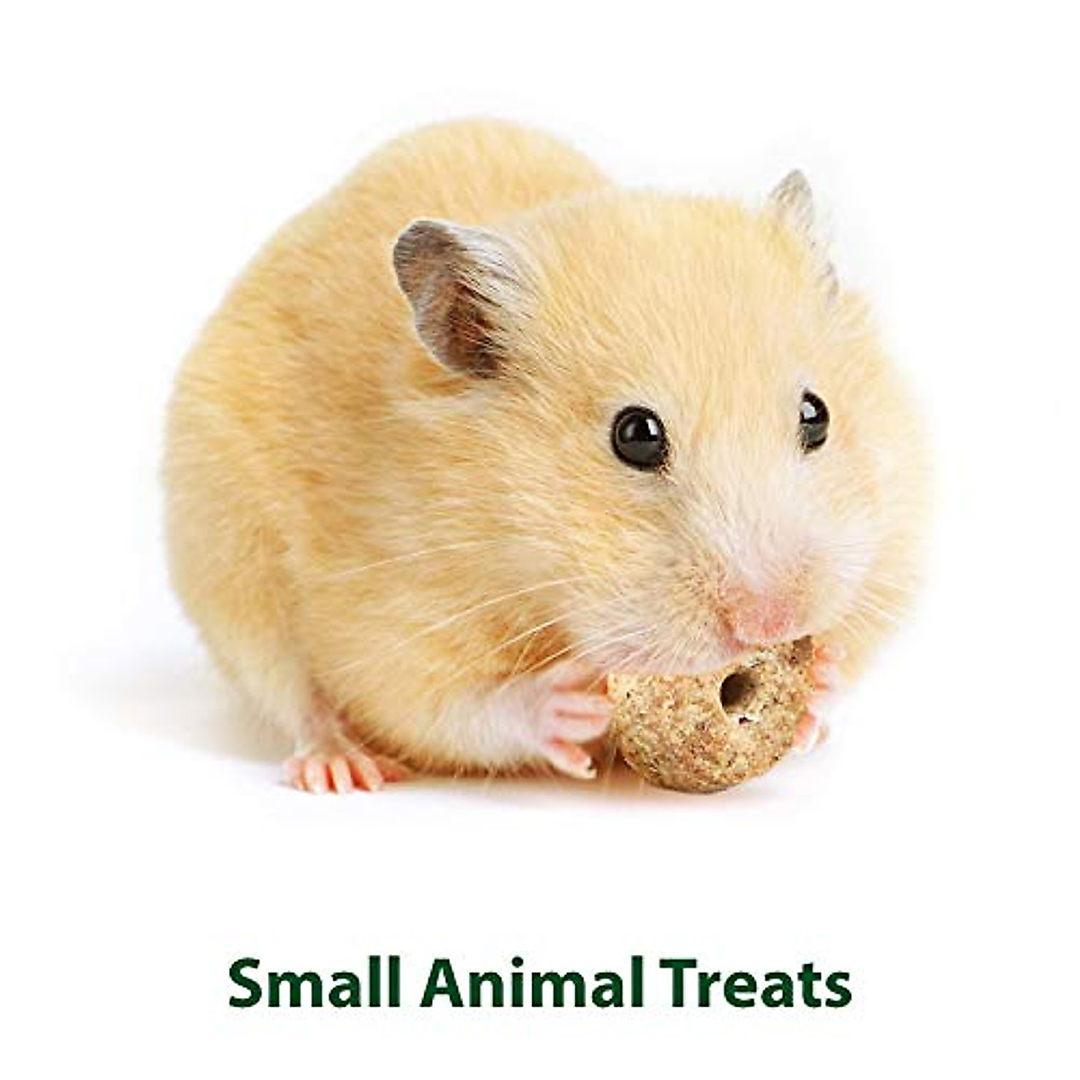 Kaytee Timothy Biscuits Baked Treat, Carrot, 4 oz