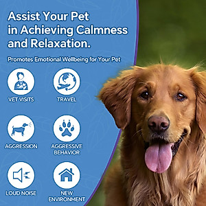 WEALLIN Hemp Oil for Dogs and Cats, Rich in Omega 3, 6, 9 and Organic Extract Helps Pets with Anxiety, Pain, Skin and Coat Health, Stress, Hip and Joint Support