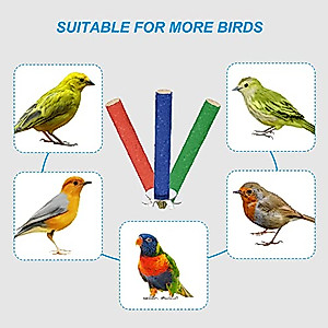 PATIKIL 0.6x7.9 Inch Bird Cage Perch, 2 Pack Parrot Stand Paw Grinding Stick Bird for Parakeet Cockatiel Cage Accessories, Green