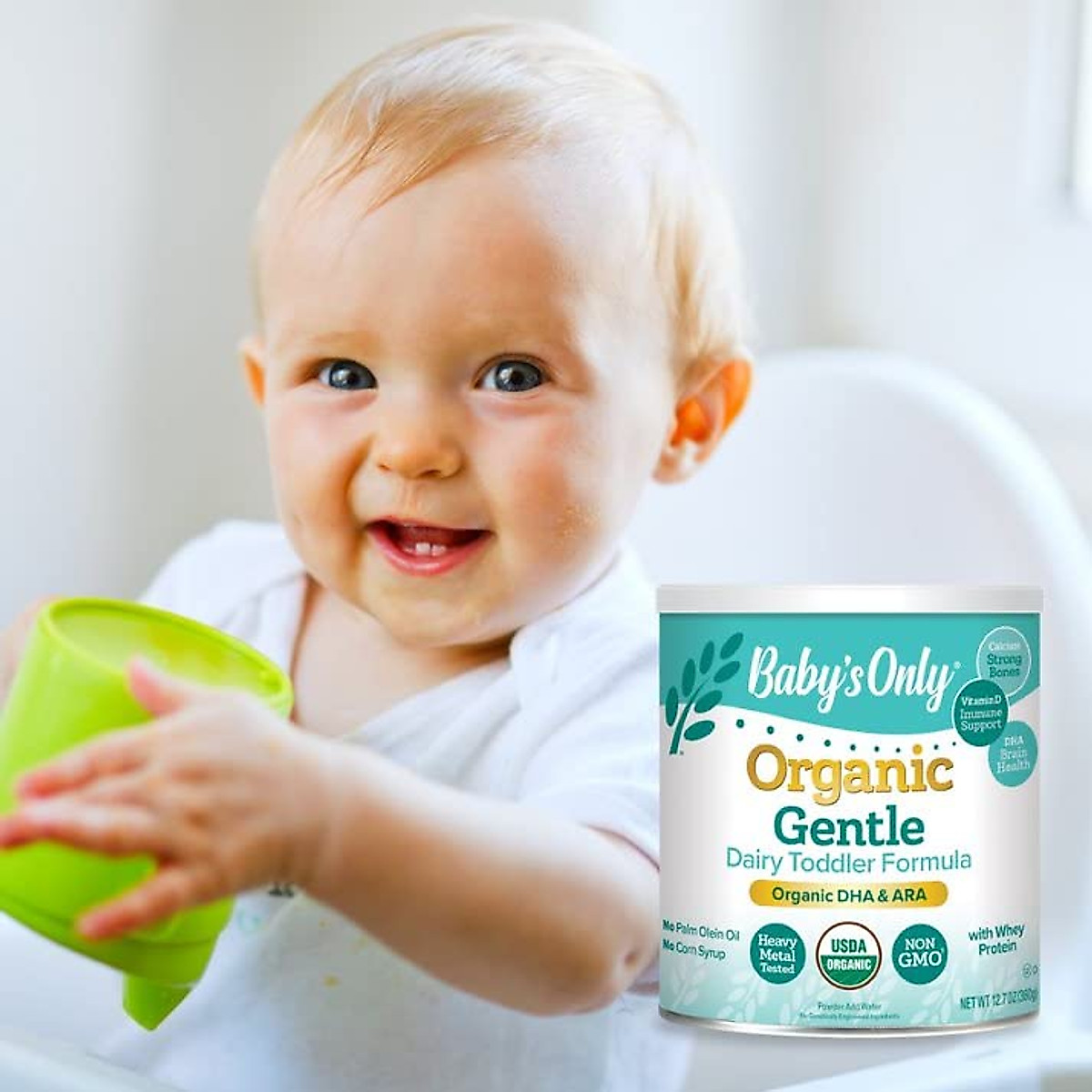 Baby's Only Organic Whey & Dairy Protein with DHA & ARA Gentle Toddler Formula, 12.7 Oz (Pack of 1) | Non-GMO | USDA Organic | Clean Label Project Verified | Tummy Gentle