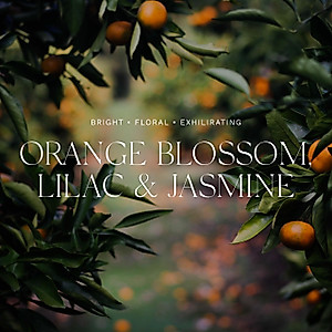 Antica Farmacista Home Ambiance, Orange Blossom, Lilac and Jasmine 16.9 Fl Oz