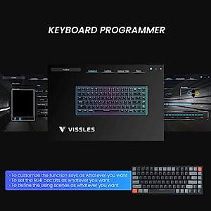 Vissles V84 Wireless Bluetooth/USB Wired Mechanical Keyboard with Wrist Hot Swappable Mechanical Gaming Keyboard Compact 84 Keys Tenkeyless RGB Dynamic Backlit for Mac Windows, Gateron Red Switch