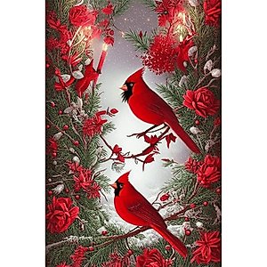 JFYHAB 5D Diamond Painting Kits for Adults Full Drill North American Cardinal Kit Embroidery Rhinestone Painting Round Drill Cardinal Birds Paint with Diamond for Christmas Home Wall Decor 12x16