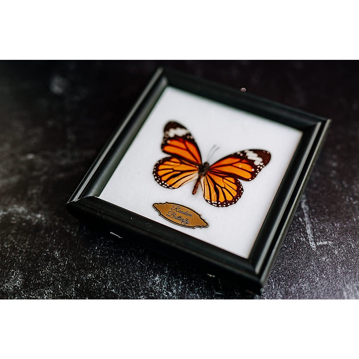 Custom Engraved Flexibrass Plate, Name Plaque, Art Tags, Trophy Label, Personalized Awards Tags, Gold, Silver Brass, Adhesive Backing