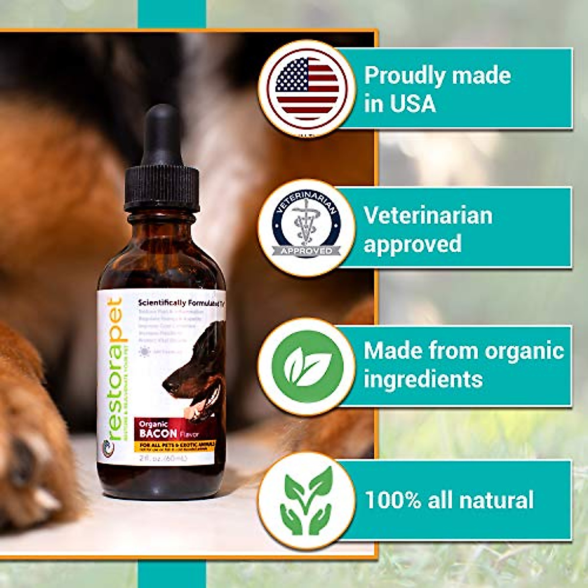 RestoraPet 1-Pack Dog & Cat Bacon Liquid Multivitamin | Dog Arthritis Pain Relief | Hip & Joint Vitamins for Dogs - Anti Inflammatory Supplement for Dogs & Cats | Organic & Non-GMO, Vet Approved