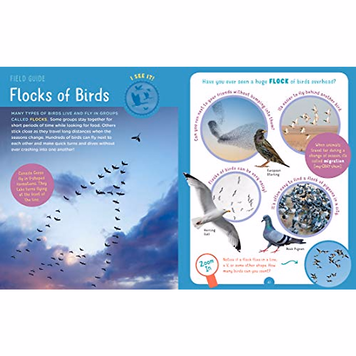 Backpack Explorer: Bird Watch: What Will You Find?