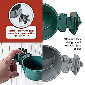 Hari Lock & Crock Food and Water Bowl, Pet Bird Cage Accessory, Large, Gray (81942)