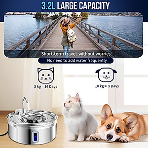 SlowTon Cat Water Fountain Stainless Steel - 3.2L/108oz Large Quite Pet Fountain, Automatic Cat Fountain Dog Water Dispenser with Water Level Window and Replacement Filters, Suitable for Cats, Dogs