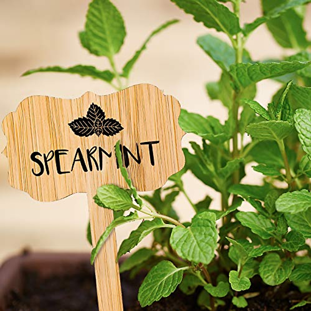 Whaline 60Pcs Bamboo Plant Labels with 1 Marker Pen Eco-Friendly T-Type Wooden Plant Sign Tags Wood Garden Markers Decorative Garden Tags for Seed Potted Herbs Flowers Vegetables (6.5 X 10 cm)