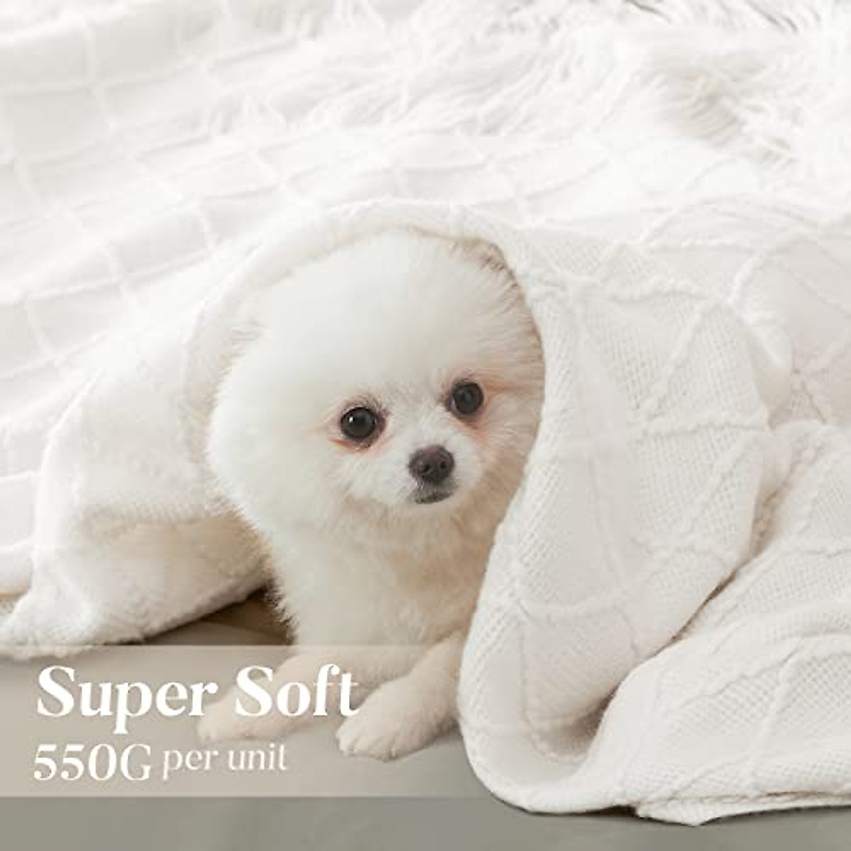 Touchat Knitted Throw Blankets for Couch, Sofa and Bed, Lightweight Soft Knit Blanket with Tassel, Decorative Cozy Farmhouse Throw Blankets for Women and Man 50"x60", Cream Off White