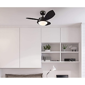 Westinghouse 7233000 Wengue Indoor Ceiling Fan with Light, 30 Inch, Espresso