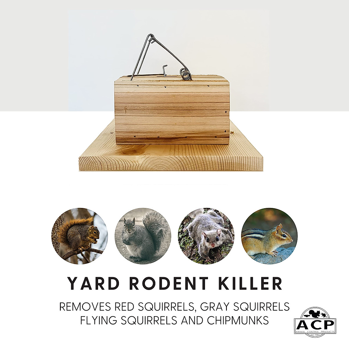 Squirrel Trapping Starter Kit for Squirrel/Chipmunk Removal in Homes Bird Feeders Attics | Little Killer Choker Style Animal Trap + Squirrel Butter + Jelly + Trail Mix Baits