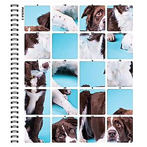 Brain Games - Sticker by Number: Dogs & Puppies (Easy - Square Stickers): Create Beautiful Art With Easy to Use Sticker Fun!