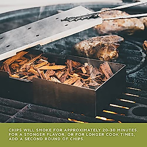 Fire & Flavor Premium All Natural Wood Chips for Smoker - Wood Chips for Smoking - Smoker Wood Chips - Smoker Accessories Gifts for Men and Women - Apple - 2lbs