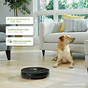 iRobot Roomba 671 Robot Vacuum with Wi-Fi Connectivity, Works with Alexa, Good for Pet Hair, Carpets, and Hard Floors