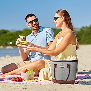 Tirrinia Large Insulated Lunch Tote Bag for Women, Cute Waterproof Leakproof Cooler Bag with Zipper for Work, Beach, Adult Shopping Grocery Bags for Frozen Food - Grey