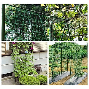 HHTHH Green Trellis Netting 5x60 ft Heavy Duty Garden Trellis Netting Polypropylene Plant Support Net for Climbing Vegetables Fruits Flowers