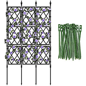 WellSign Garden Trellis for Climbing Plants Outdoor and Indoor 63inch, Sturdy Rustproof Coated Metal Support Fence Climbing Frame with 20 Reusable Ties for Ivy Vines Vegetable Flower 1Pack