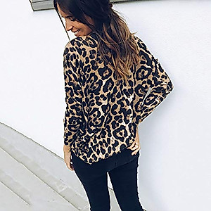 T-shirt for Women THENLIAN Women Plunge V Neck Leopard Print T-shirt Top Long Sleeve Autumn Blouse (Multicolor, L)