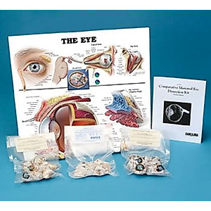 Comparative Mammalian Eye Dissection Kit