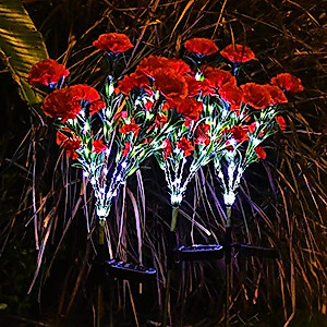 BeHiller Carnations Solar Flower Light Outdoor Decor,42Red Flowers Gifts for Grandma,Birthday,Mom Gifts Garden Pathway Lights,Unique Gifts Solar Decorative Lights for Patio,Grave Cemetery Yard-2Pack