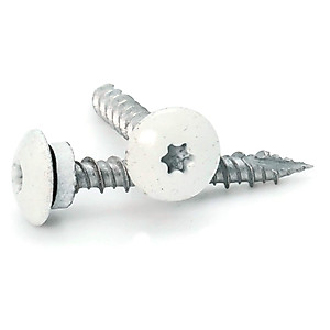 Low Profile Mechanical Galvanized Roofing Screws White Finish - #10 x 1" Qty 250