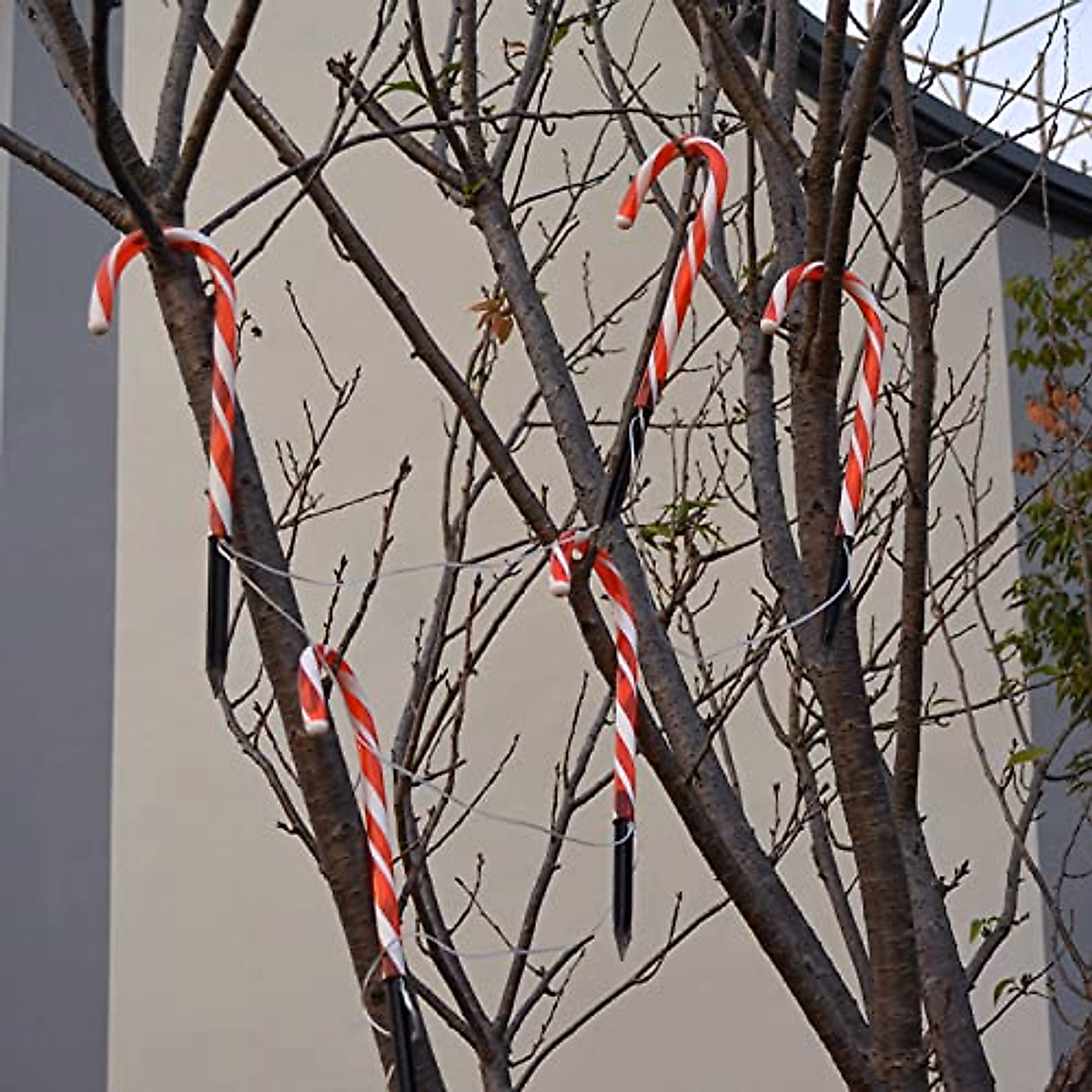 fengchensety Led Christmas Candy Cane Lights Set Solar Panel or Battery Powered Stake Light for Home Garden Passage Courtyard Decoration Outdoor Lawn Lamp Christmas Candy Cane Light