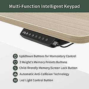 FEZIBO 55 × 26 Inch Electric Standing Desk with Monitor Stand, Height Adjustable Table with LED Strips, Ergonomic Home Office Furniture with 2 Drawers Storage Gaming Workstation, Light Walnut Top