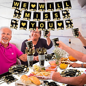 Pickmesh 175 Pcs We Will Miss You Theme Party Decorations Tableware Banner and Accessories Serving 24 Guests for Farewell Anniversary Retirement Graduation Party Supplies