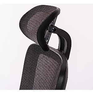 Office Chair, High Back Ergonomic Desk Chair, Breathable Mesh Desk Chair with Adjustable Lumbar Support and Headrest, Swivel Task Chair with Armrests, Executive Chair for Home Office (Black)