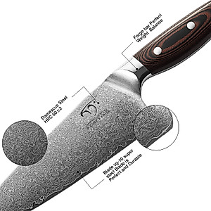 Damascus Chef Knife, 8 Inch Professional Damascus Kitchen Knife Forged with VG10 Super Steel 67-Layer, Non-slip Ergonomic Micarta Handle, Razor Sharp Lightweight Multipurpose Full Tang Gift Box