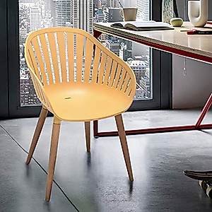 Armen Living Nassau Outdoor Patio Arm Dining Chairs, 17" Seat Height, Set of 2, Eucalyptus and Honey Yellow