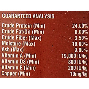 Fluker Labs SFK76021 Adult Bearded Dragon Diet Food, 3.4-Ounce