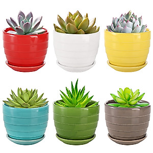 Elsjoy Set of 6 Ceramic Succulents Planter with Drainage Tray, 4.3 Inch Decorative Flower Pots Saucer Small Planter Pot for House Plants, Indoor Outdoor Plants, 6 Colors
