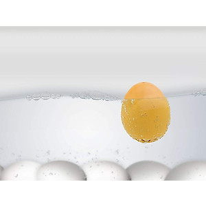 Brainstream BeepEgg Cook Perfect Soft, Medium, or Hard Boiled Favorite Tunes Singing and Floating Egg Timer, Spring Orange