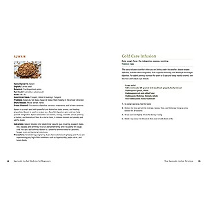 Ayurvedic Herbal Medicine for Beginners: More Than 100 Remedies for Wellness and Balance