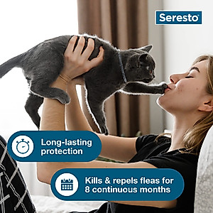 Seresto Small Dog for Dogs Under 18 lbs. & Seresto for Cats Vet-Recommended Flea & Tick Treatment & Prevention Collars | 8 Months Protection Each
