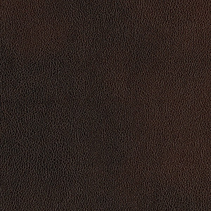 Lexicon Davisville Living Room Sofa, Brown