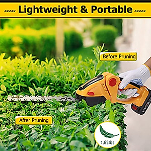Cordless Grass Shear & Hedge Trimmer, 2 in 1 Handheld Shrubbery Trimmer Electric Grass Cutter, Lightweight Hedge Clipper with Rechargeable Battery and Charger for Garden and Lawn
