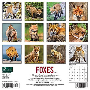 Foxes 2021 Wall Calendar