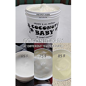 Coconut Baby Oil for Hair & Skin - Organic Moisturizer - All Natural - Massage - Sensitive Skin, Infant Scalp Thick, Dry Hair - with Sunflower & Grape Seed oils - 2 fl oz